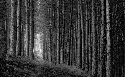 Paul Hart: Truncated - Leftlion - Nottingham Culture