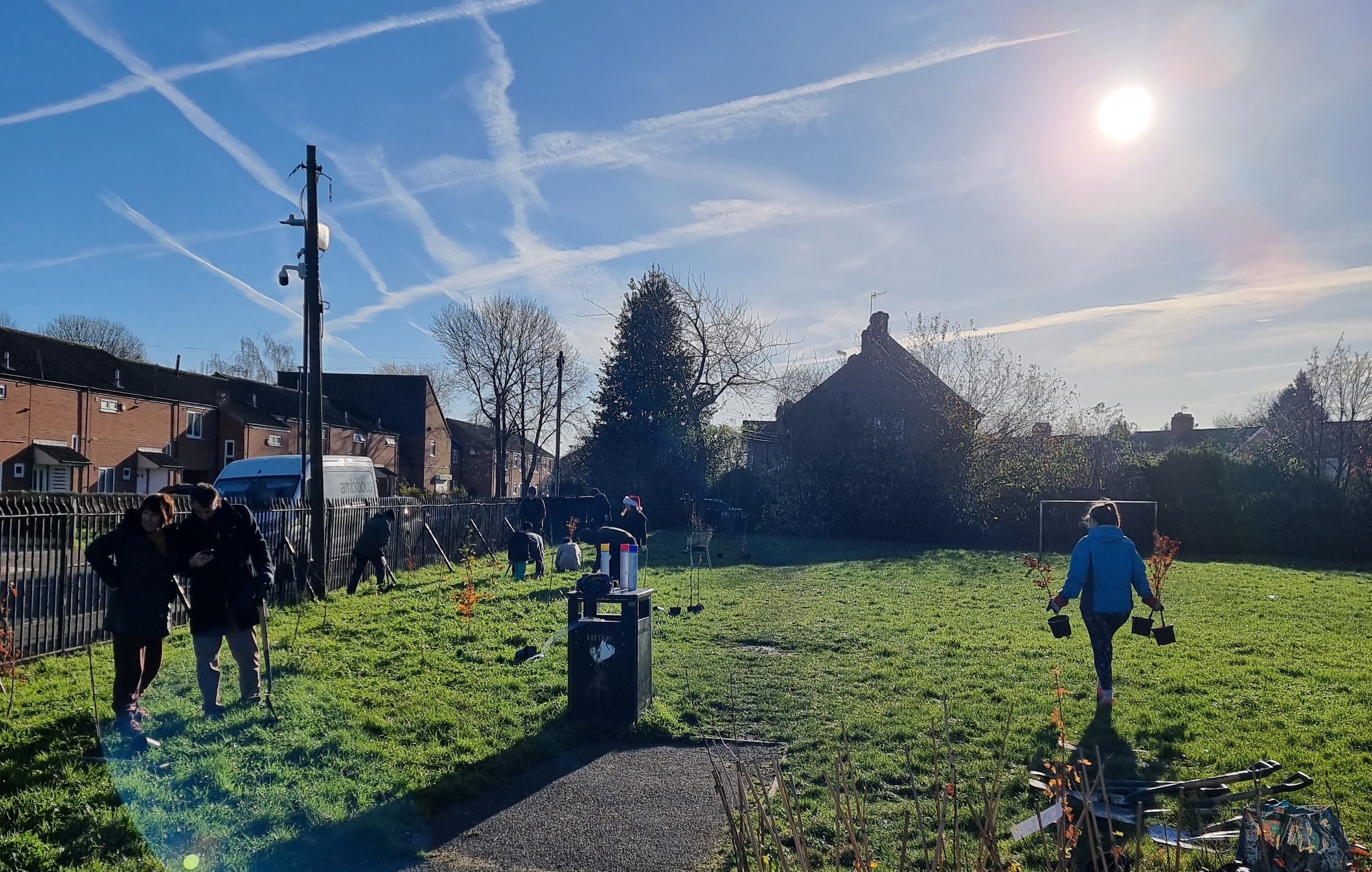 Green Hustle Launch Twenty Twenty Tree Project With Trees For Cities ...