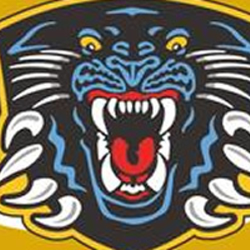 Left Panther: September 2016 - Nottingham Culture