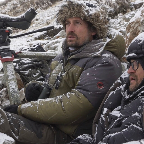 Film Review: The Velvet Queen - Nottingham Culture