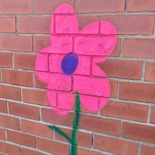 Flowers Appearing On Walls Around Nottingham - Nottingham Culture