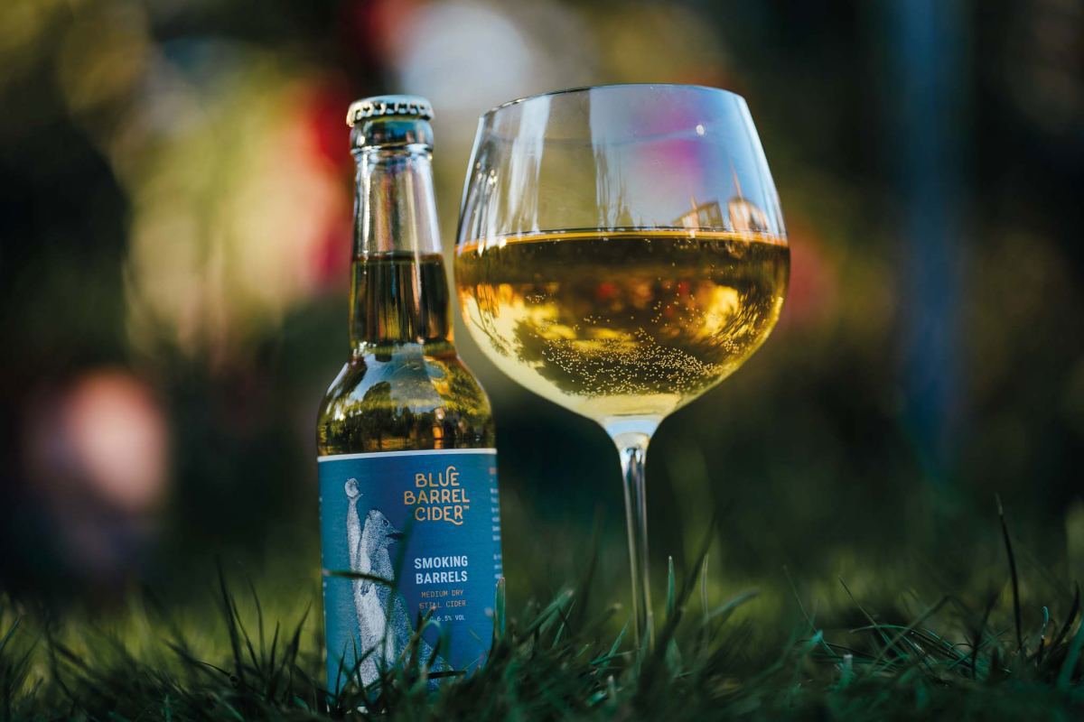 We Join Blue Barrel Cider for a Day of Scrumping In St Ann’s and a Chat ...