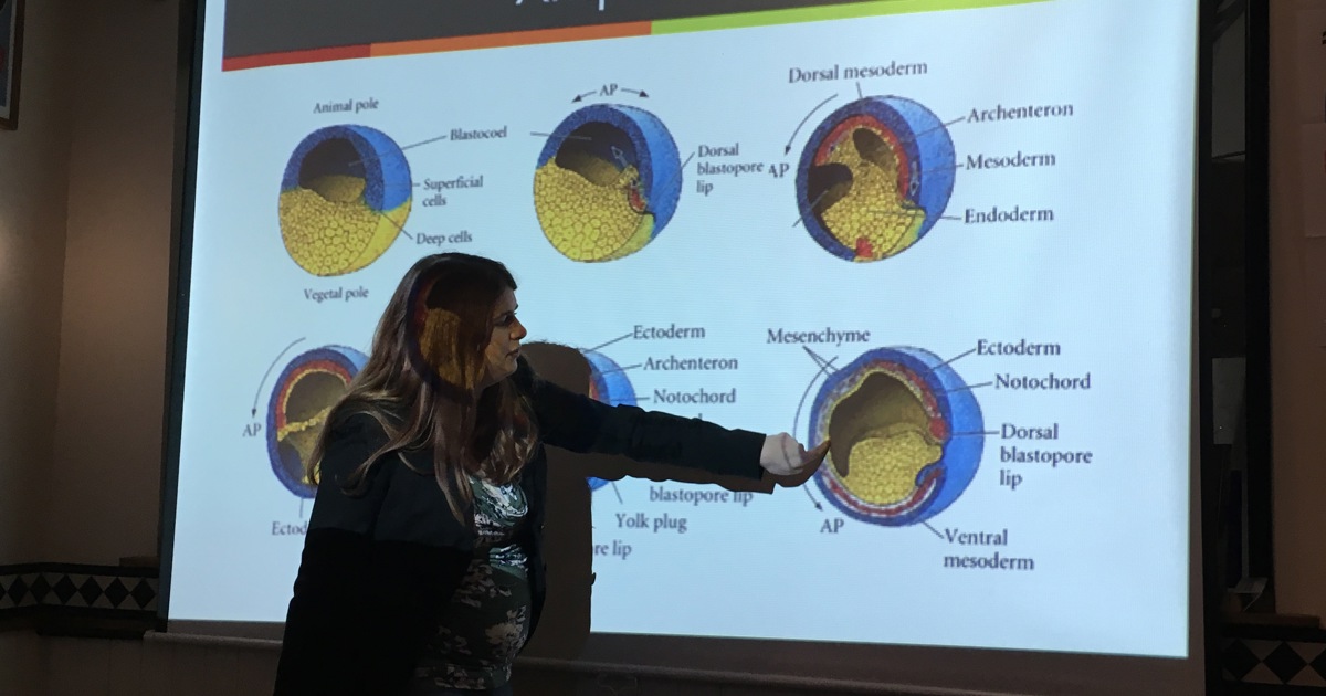 SciBar: Embryo Development and Animal Models - Nottingham Culture