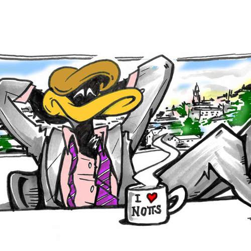 Ayup Duck: The Latest Nottingham News - Nottingham Culture