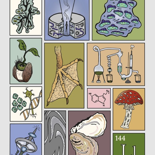 Under Cover Artist: Fiona Carr - Nottingham Culture