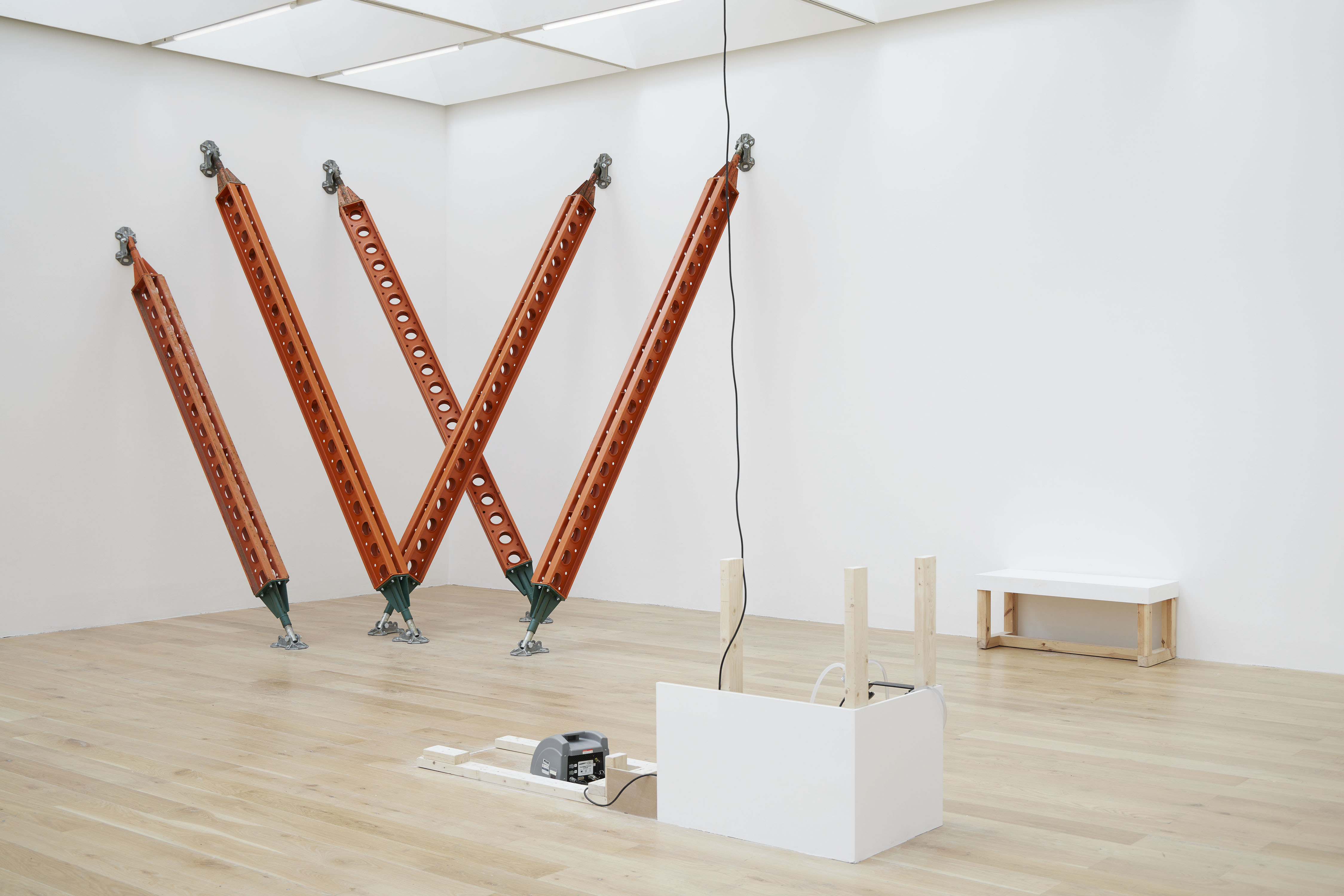 How many giraffes are in the air we breathe? We Review Nottingham ...