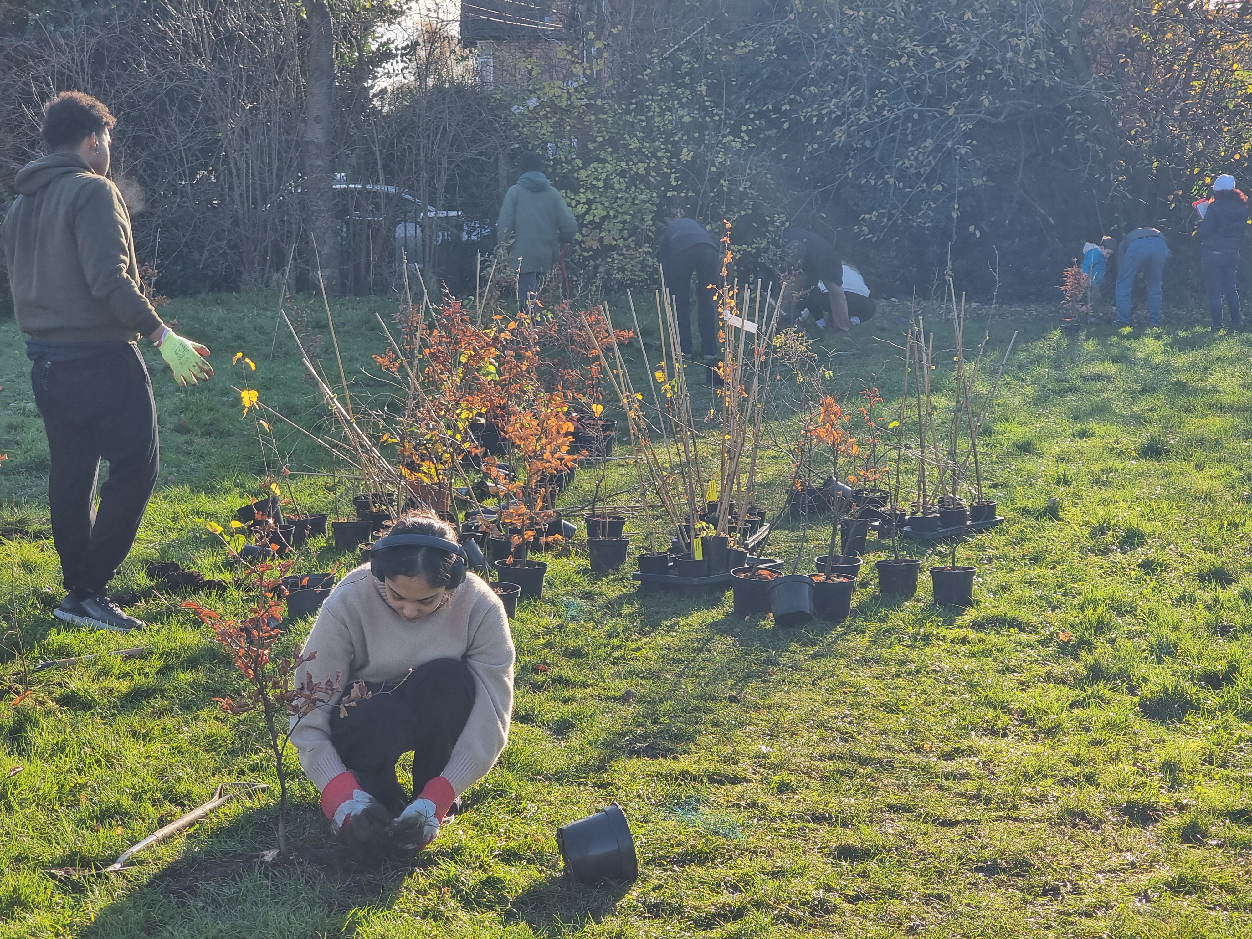 Green Hustle Launch Twenty Twenty Tree Project With Trees For Cities ...