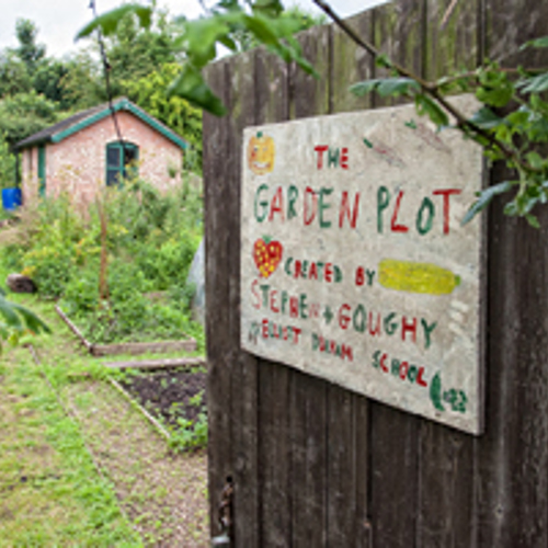 A History of St Ann's Allotments - Nottingham Culture