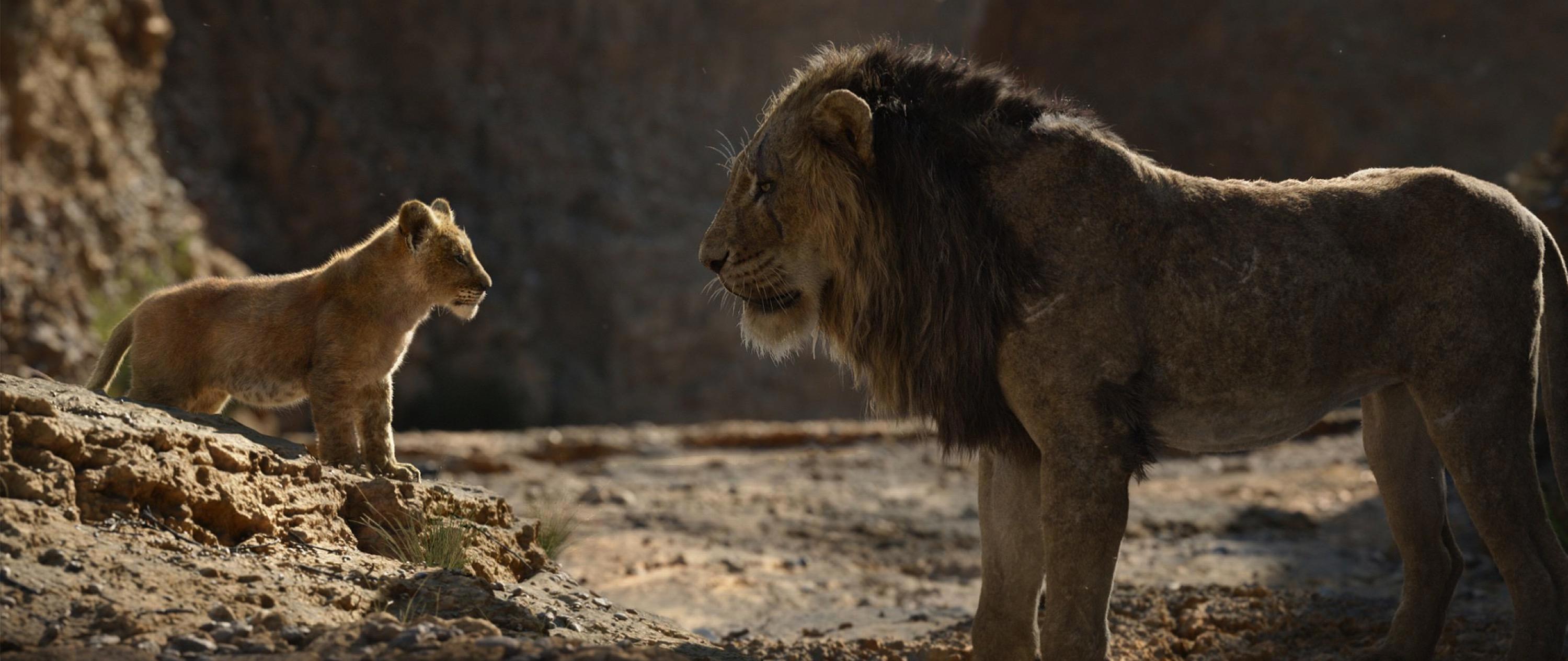 Preview: IMAX Film Festival at Cineworld - Leftlion - Nottingham Culture