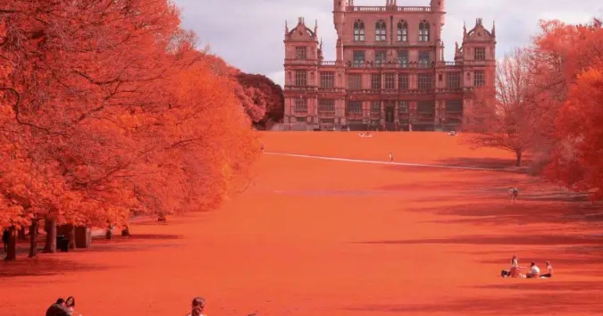 Free entry to Rock City and Nottingham painted red: Here's what's on ...