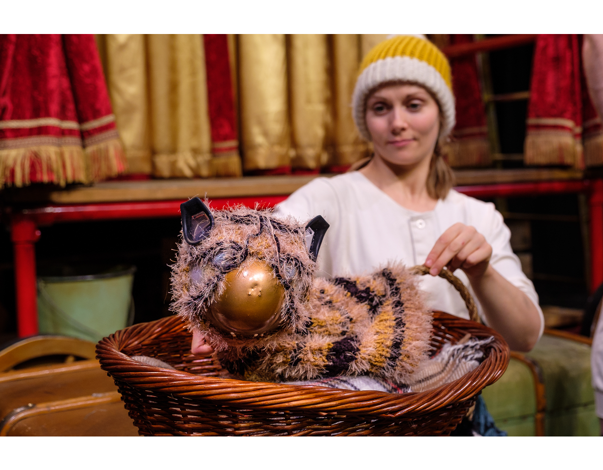 A Tiger's Tale - Leftlion - Nottingham Culture