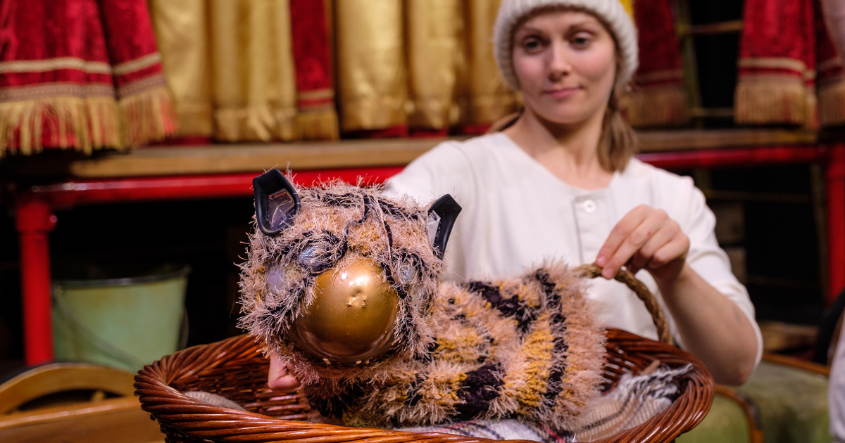 A Tiger's Tale - Leftlion - Nottingham Culture