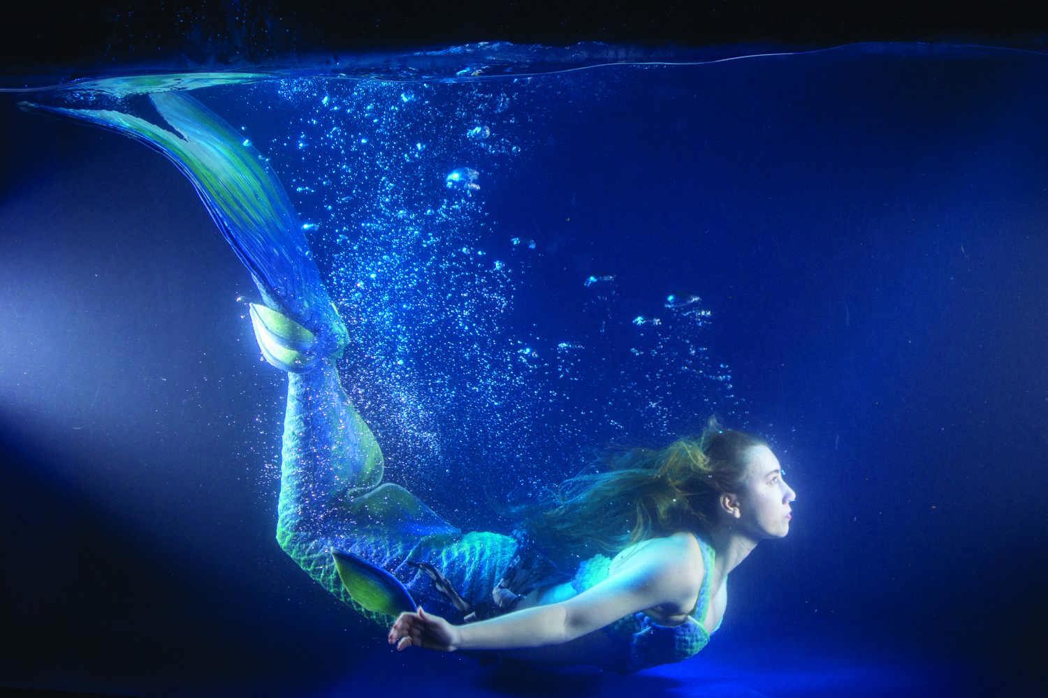 Mermaid Cove Put on Events with Real Life Mermaids - Leftlion ...