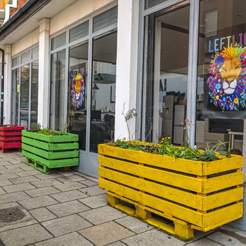 Motion for the Ocean: Nottingham City Council Votes to Back Campain ...