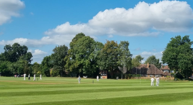 The 11th Wollaton Cricket Club Beer Festival - Leftlion - Nottingham ...