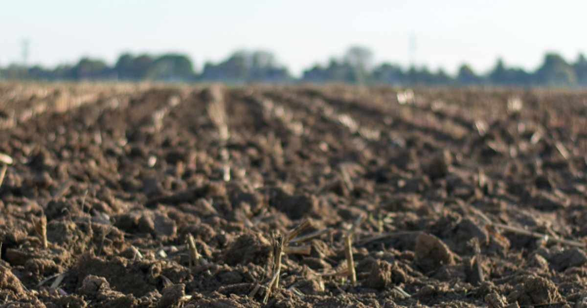 Science Public Lecture: Soil Survival and Re-emergence: the Continued ...