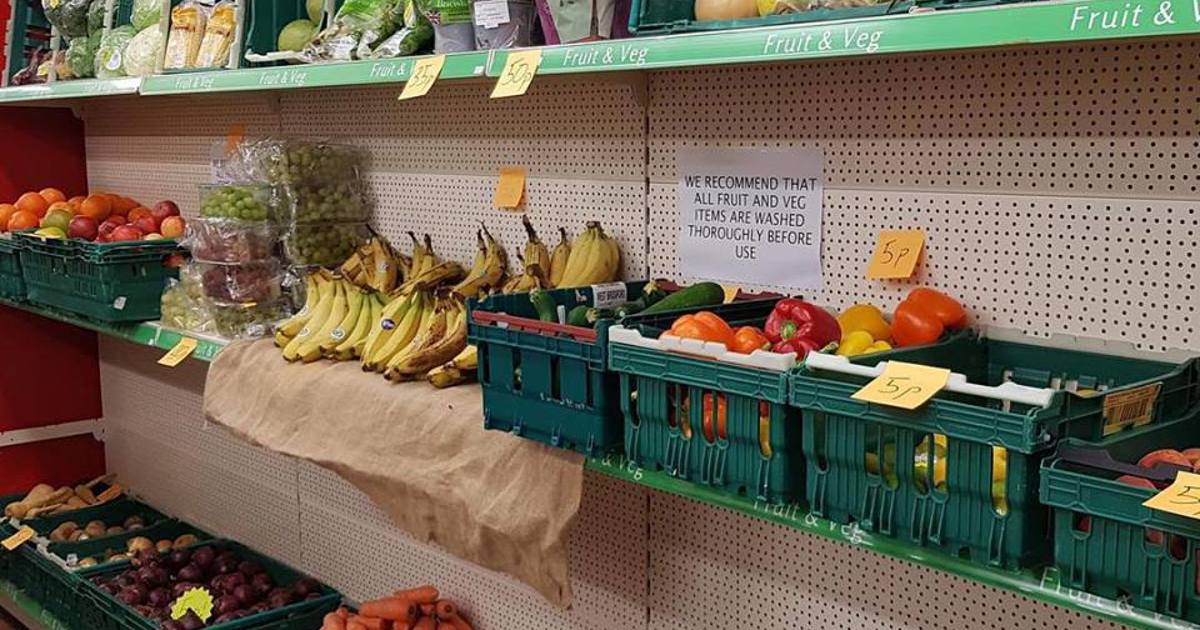 Foodprint Nottingham are Saving Produce from Going to Waste ...