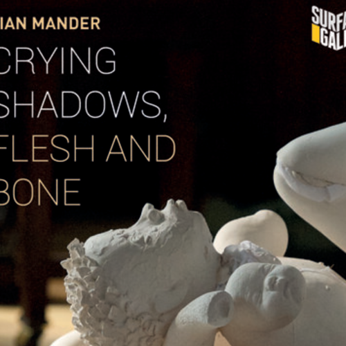 Art Review: Crying Shadows, Flesh and Bones at Surface Gallery ...