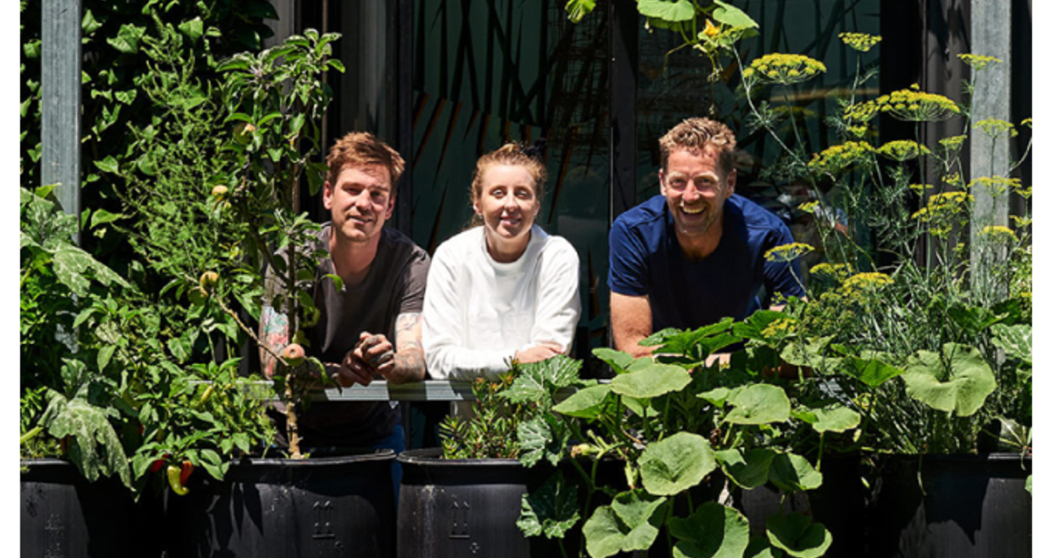 Greenhouse by Joost - Leftlion - Nottingham Culture