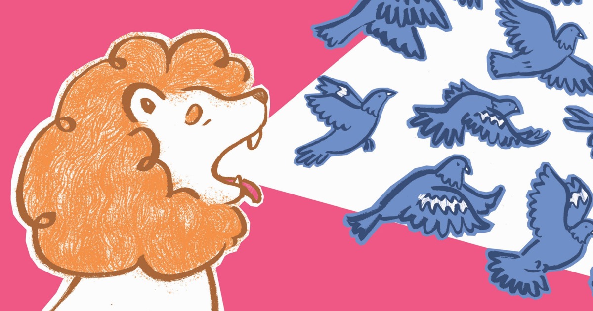 Illustrator Kate Sharp talks Children's Books, Lockdown and Drawing ...