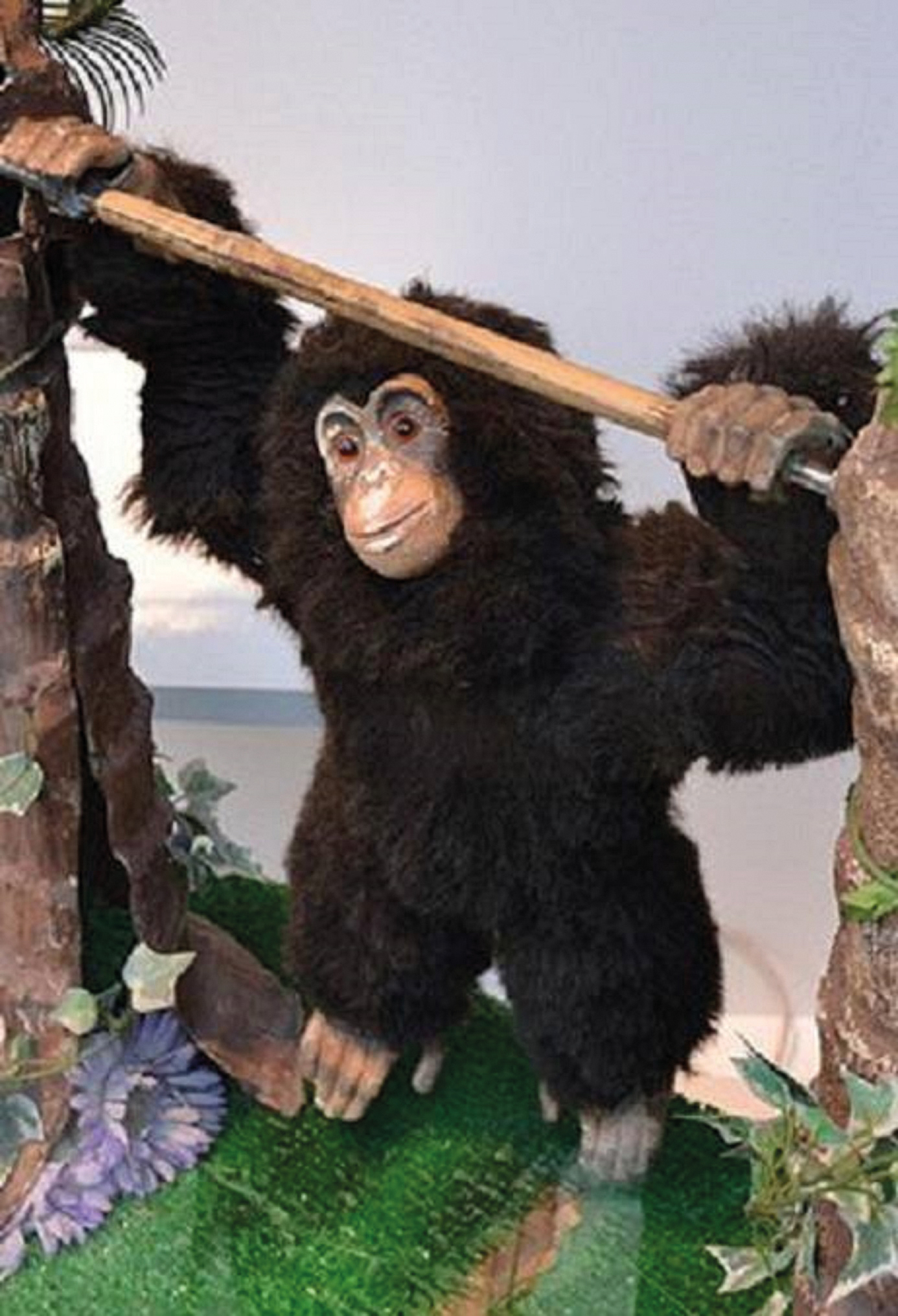 Out of Time: the lost history of Nottingham revealed in a new book by ...