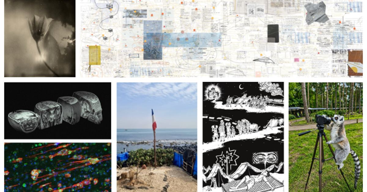 Under the microscope: who deserves to win NTU's Images of Research 2026 ...