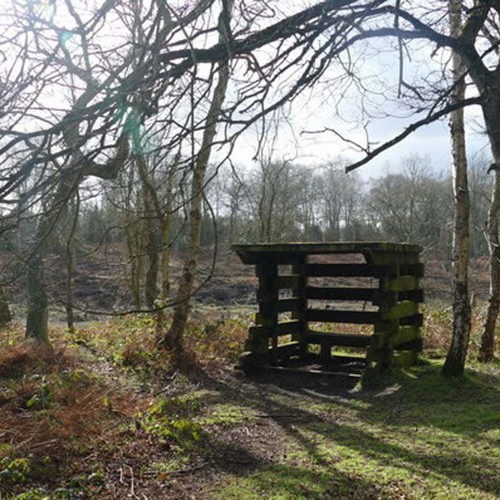 5 Places to go Ghost Hunting in Nottinghamshire - Nottingham Culture