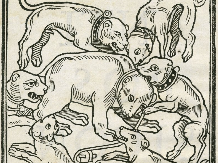 Talk: Bears and Humans: a Complex Relationship - Leftlion - Nottingham ...