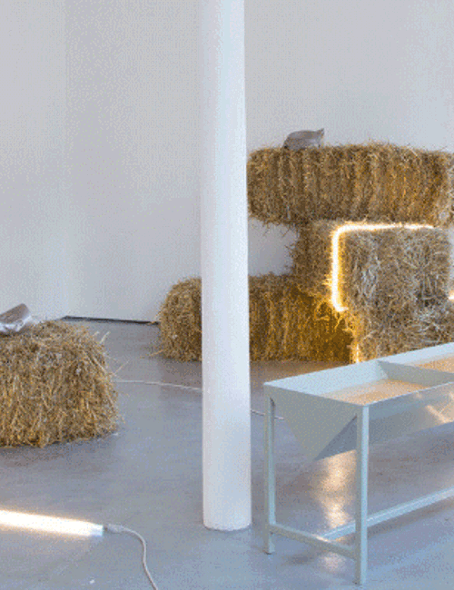 The History of the Malt Cross Nottingham - Leftlion - Nottingham Culture