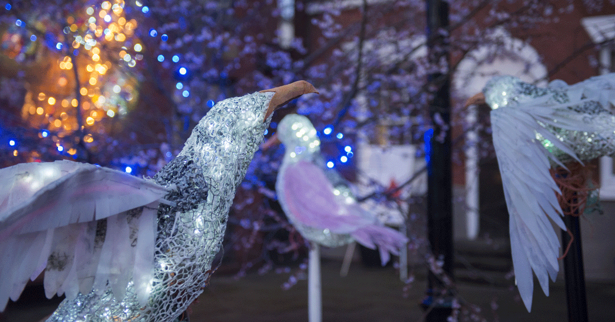 10 Places to Go on Light Night 2018 - Leftlion - Nottingham Culture