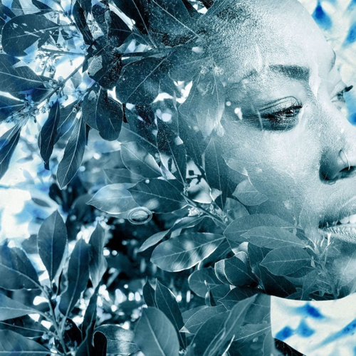 From Green Hustle Festival to Kinky Boots, Here’s What’s on in Nottingham This Week - Nottingham ...