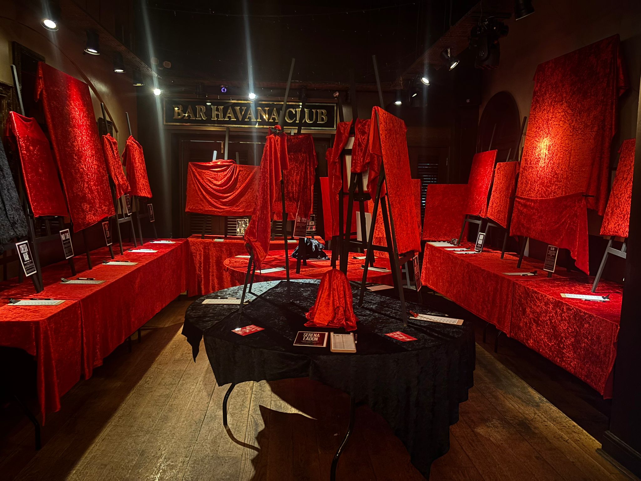 Stage review: a beautiful night of drag, burlesque and art with Niche Artefact - Nottingham Culture